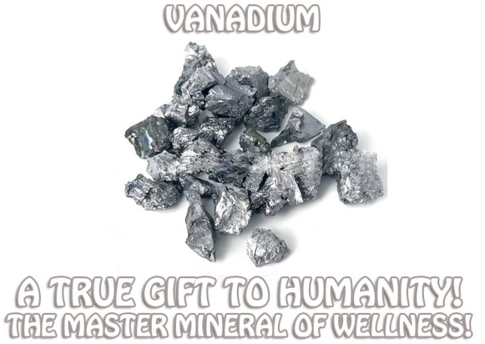 ( PURE VANADIUM ) - QUANTUM NUTRIENT ENERGY VIALS! | Inner Soul Tech