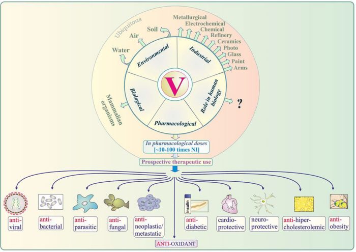 ( PURE VANADIUM ) - QUANTUM NUTRIENT ENERGY VIALS! | Inner Soul Tech